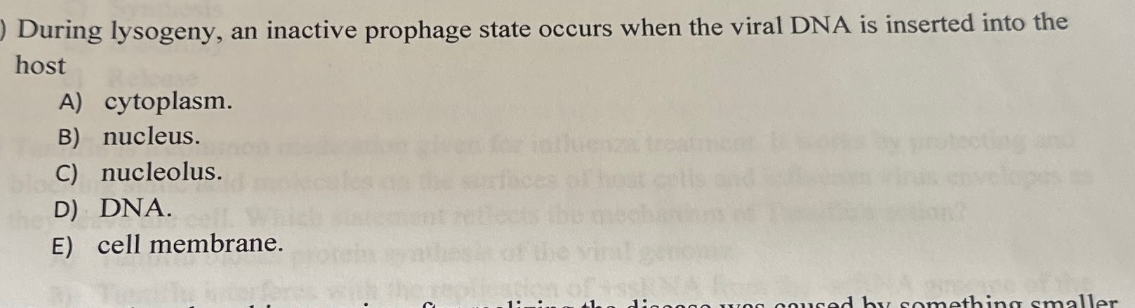 Solved During lysogeny, an inactive prophage state occurs | Chegg.com
