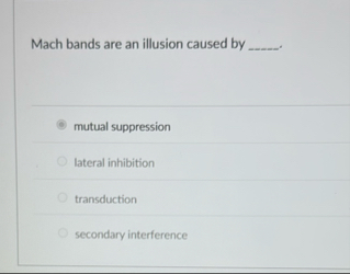 Solved Mach bands are an illusion caused by q, .mutual | Chegg.com