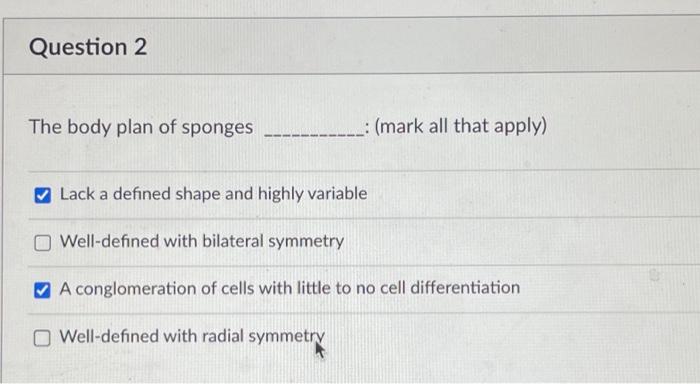 Question 2 The body plan of sponges : (mark all that | Chegg.com
