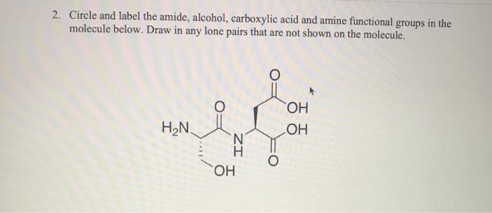 Solved 2. Circle and label the amide, alcohol, carboxylic | Chegg.com