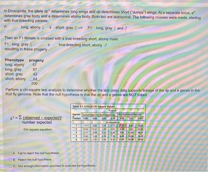Solved In Drosophila, the allele dp+determines long wings | Chegg.com