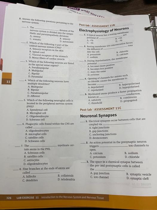 Solved Post-lab Assessments CHECK WHAT YOU LEARNED Post-lab | Chegg.com