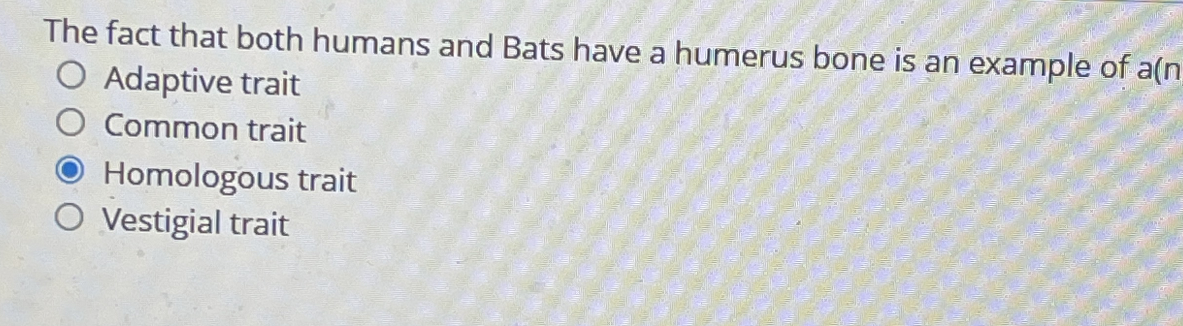 Solved The fact that both humans and Bats have a humerus | Chegg.com