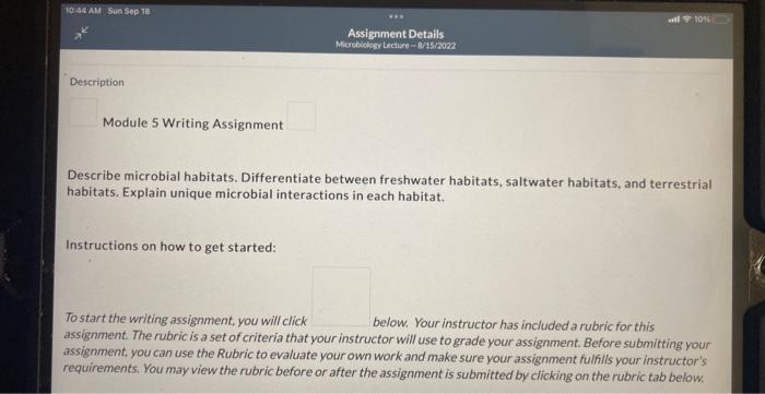 Solved Module 5 Writing Assignment Describe microbial | Chegg.com