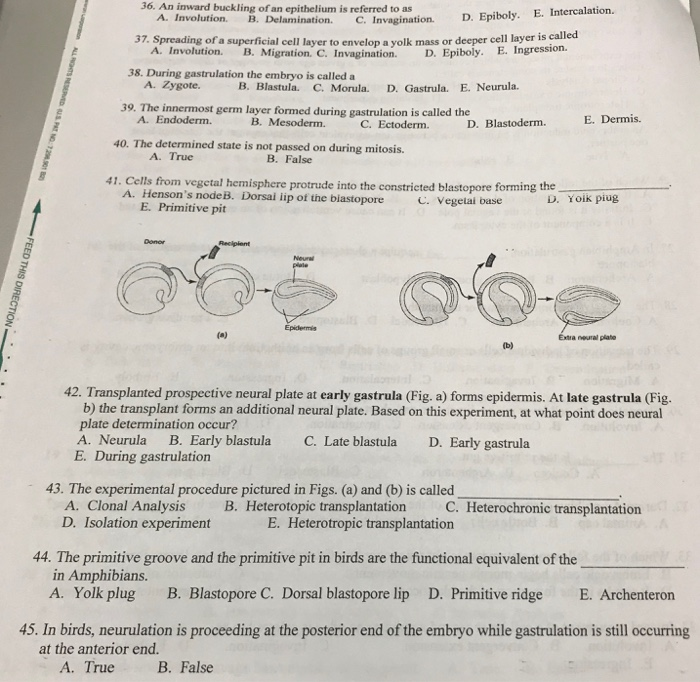 Solved 36. An inward buckling of an epithelium is referred | Chegg.com
