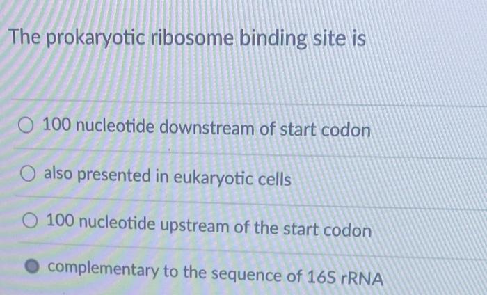 Solved The prokaryotic ribosome binding site is 100 | Chegg.com