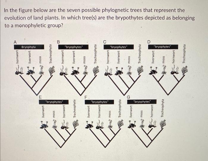 Solved In the figure below are the seven possible | Chegg.com