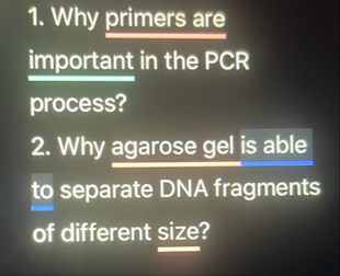 Solved Why primers are important in the PCR process?Why | Chegg.com