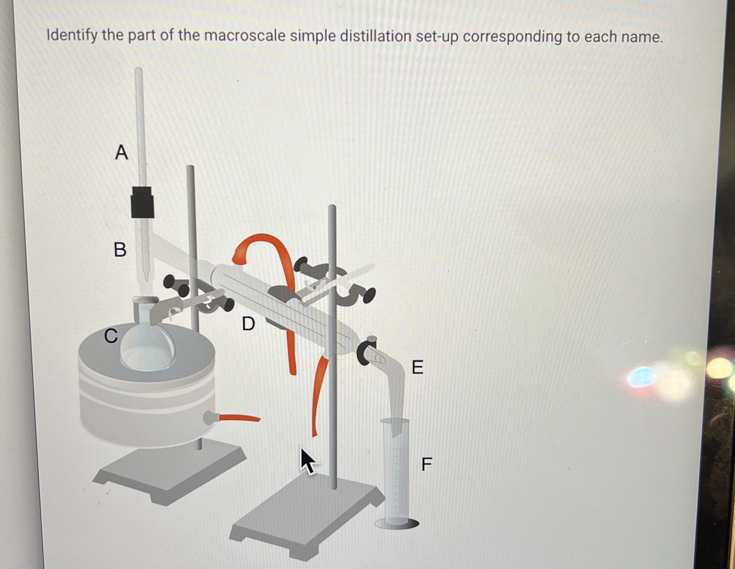 Solved Identify the part of the macroscale simple | Chegg.com