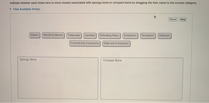 Solved Indicate whether each listed item is more closely | Chegg.com