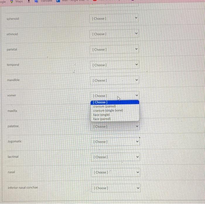 Solved Match each bone to the set of bones to which it | Chegg.com