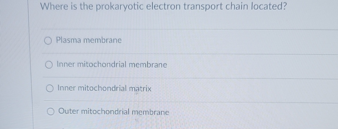 Solved Where is the prokaryotic electron transport chain | Chegg.com