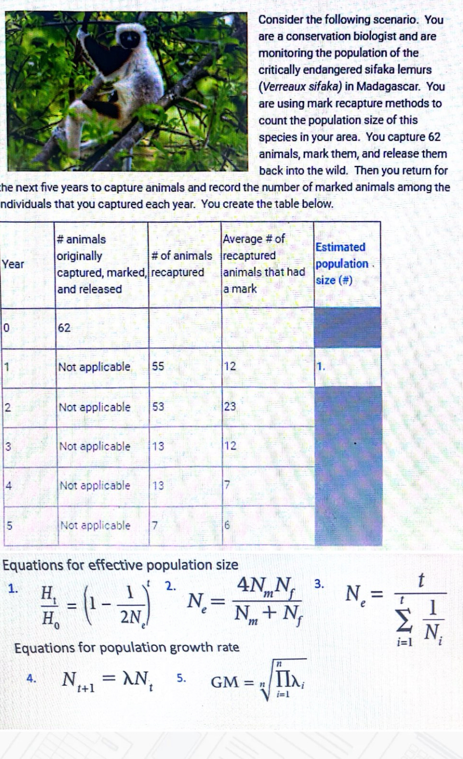 Solved 1) ﻿What is the estimated total population size in | Chegg.com