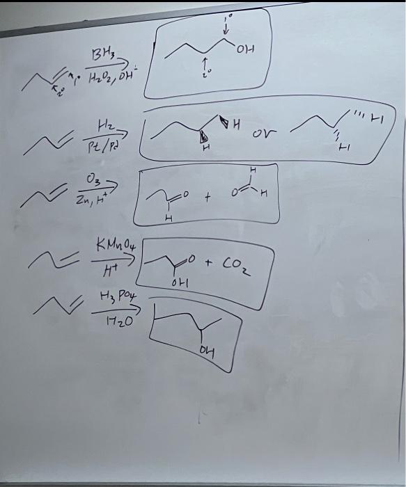 Solved please show step by step mechanism. thank you | Chegg.com Solved please show step by step mechanism. thank you | Chegg.com
