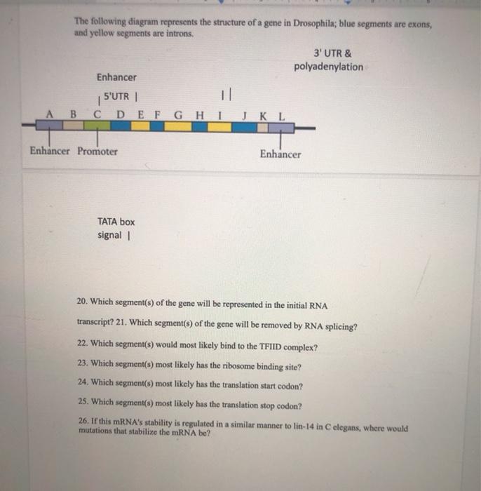 Solved The following diagram represents the structure of a | Chegg.com