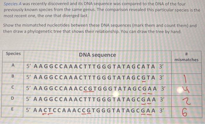 Solved Species A was recently discovered and its DNA | Chegg.com