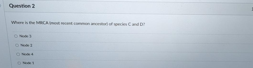 Solved Question 2Where is the MRCA (most recent common | Chegg.com