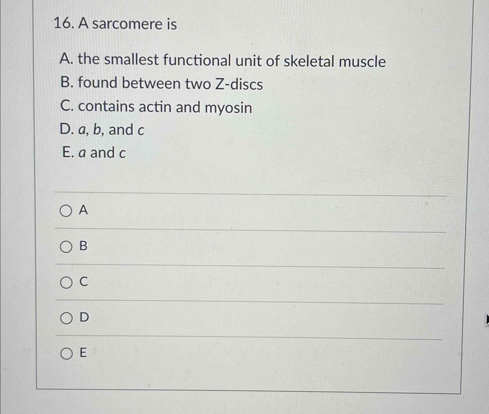 Solved A sarcomere isA. ﻿the smallest functional unit of | Chegg.com