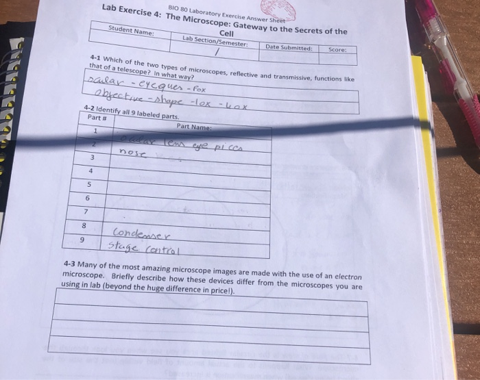 Solved BIO 80 Laboratory Exercise Answer Sheet crise 4: The | Chegg.com