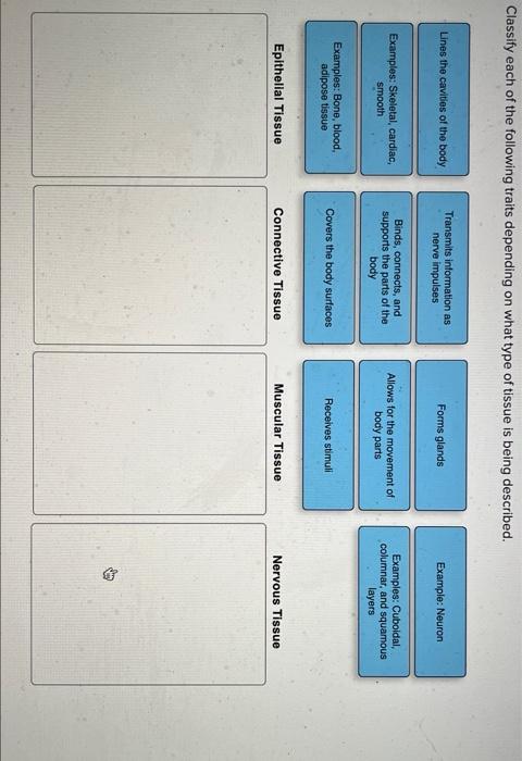 Solved Classify each of the following traits depending on | Chegg.com
