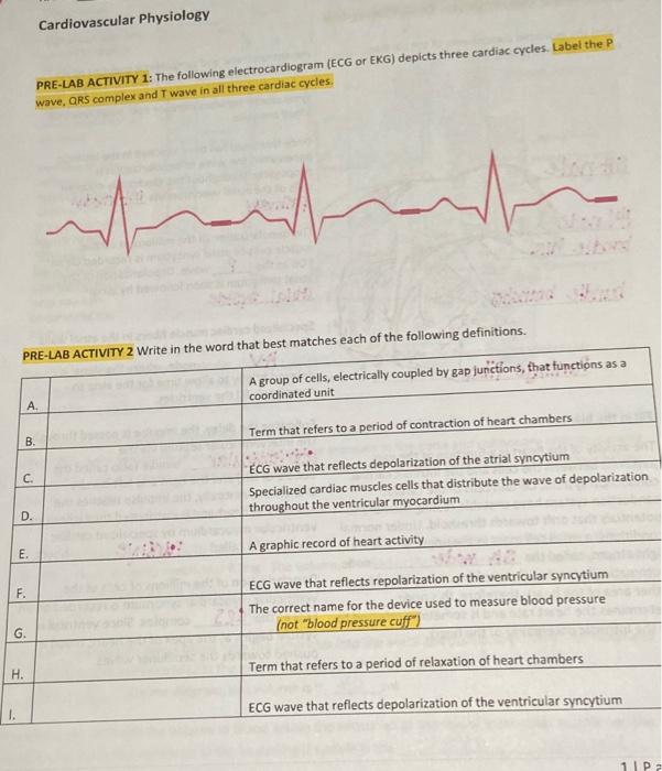 Solved Cardiovascular Physiology PRE-LAB ACTIVITY 1: The | Chegg.com