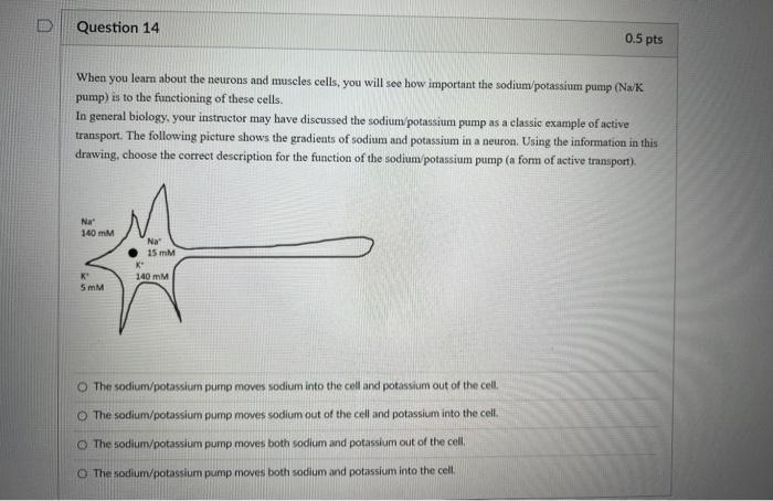 Solved When you learn about the neurons and muscles cells, | Chegg.com