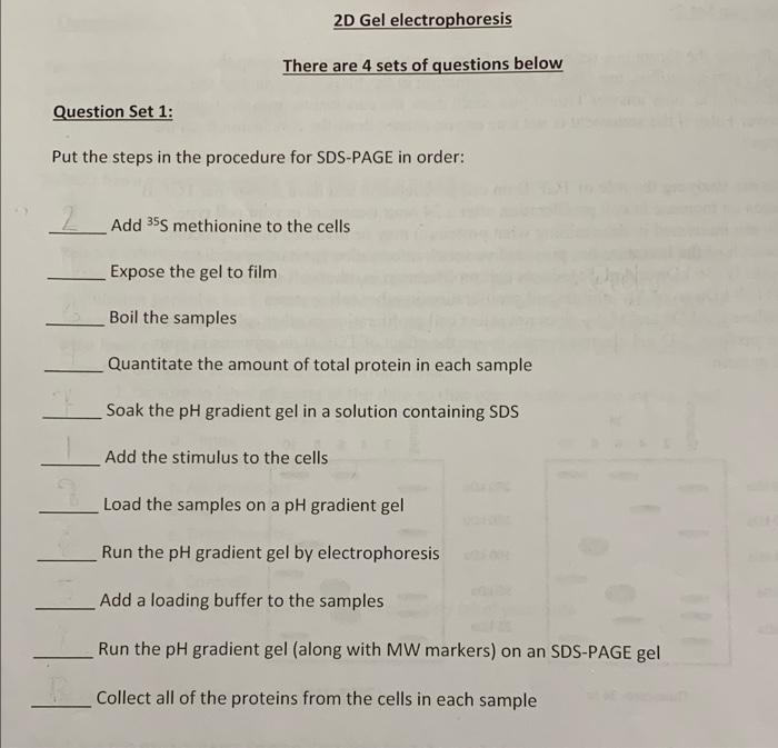 2D Gel electrophoresis There are 4 sets of questions | Chegg.com
