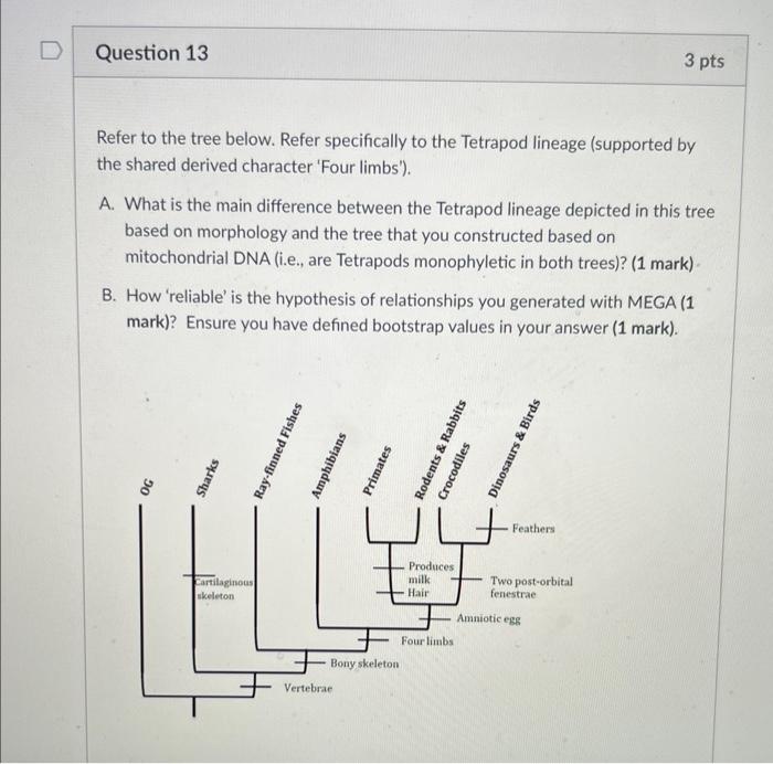 Solved What does maximum parsimony indicate about how the | Chegg.com