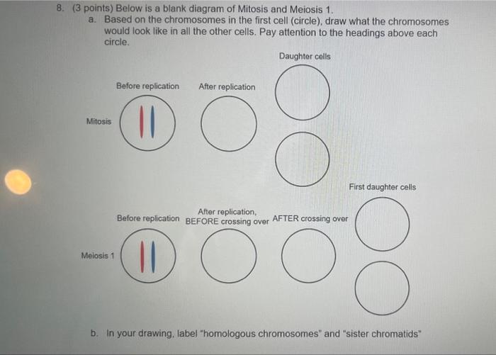 Solved (3 points) Below is a blank diagram of Mitosis and | Chegg.com