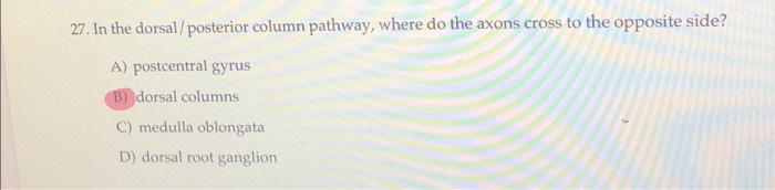 Solved 27. In the dorsal/posterior column pathway, where do | Chegg.com