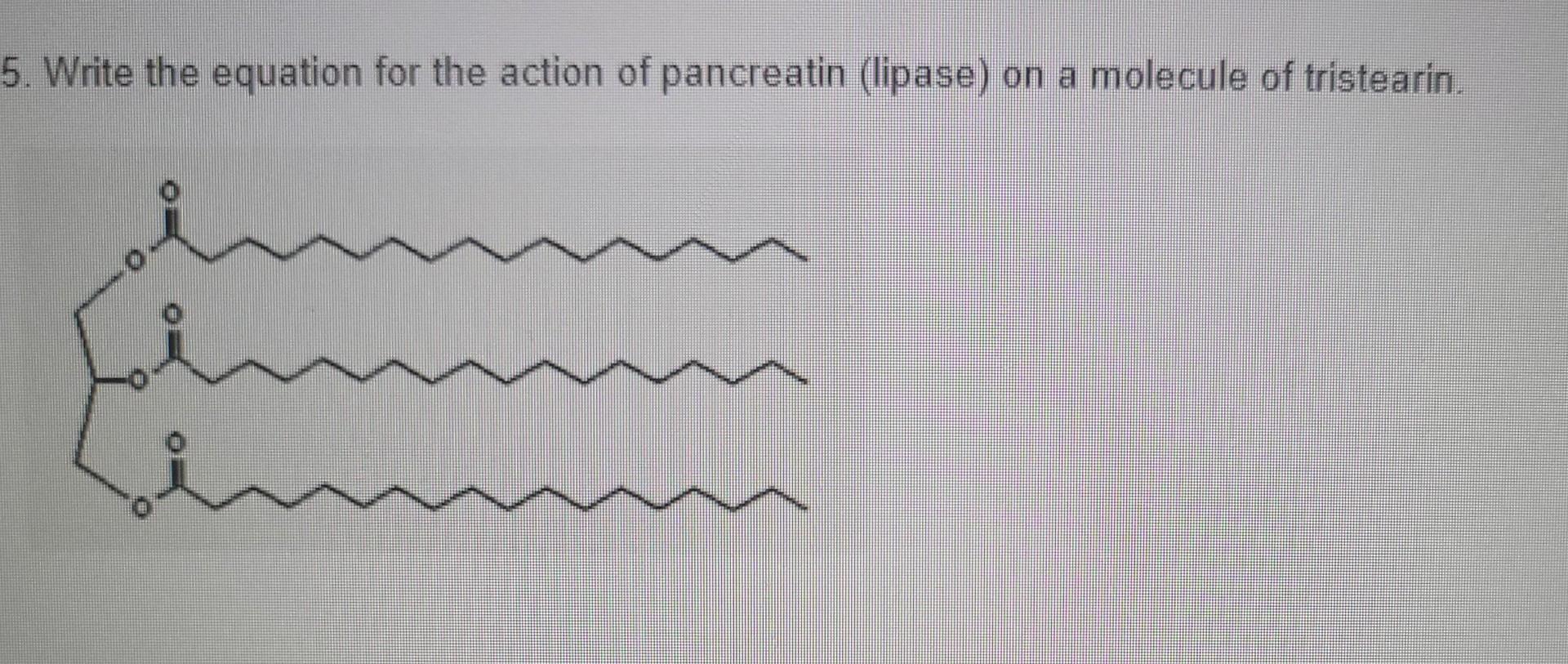 Solved 5. Write the equation for the action of pancreatin | Chegg.com