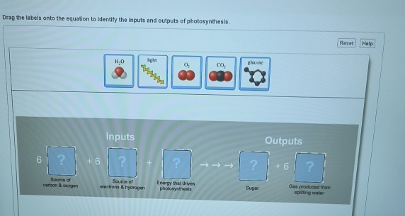 Solved Drag the labels onto the equation to identify the | Chegg.com