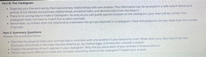 Solved Assignment Make sure the following items are included | Chegg.com