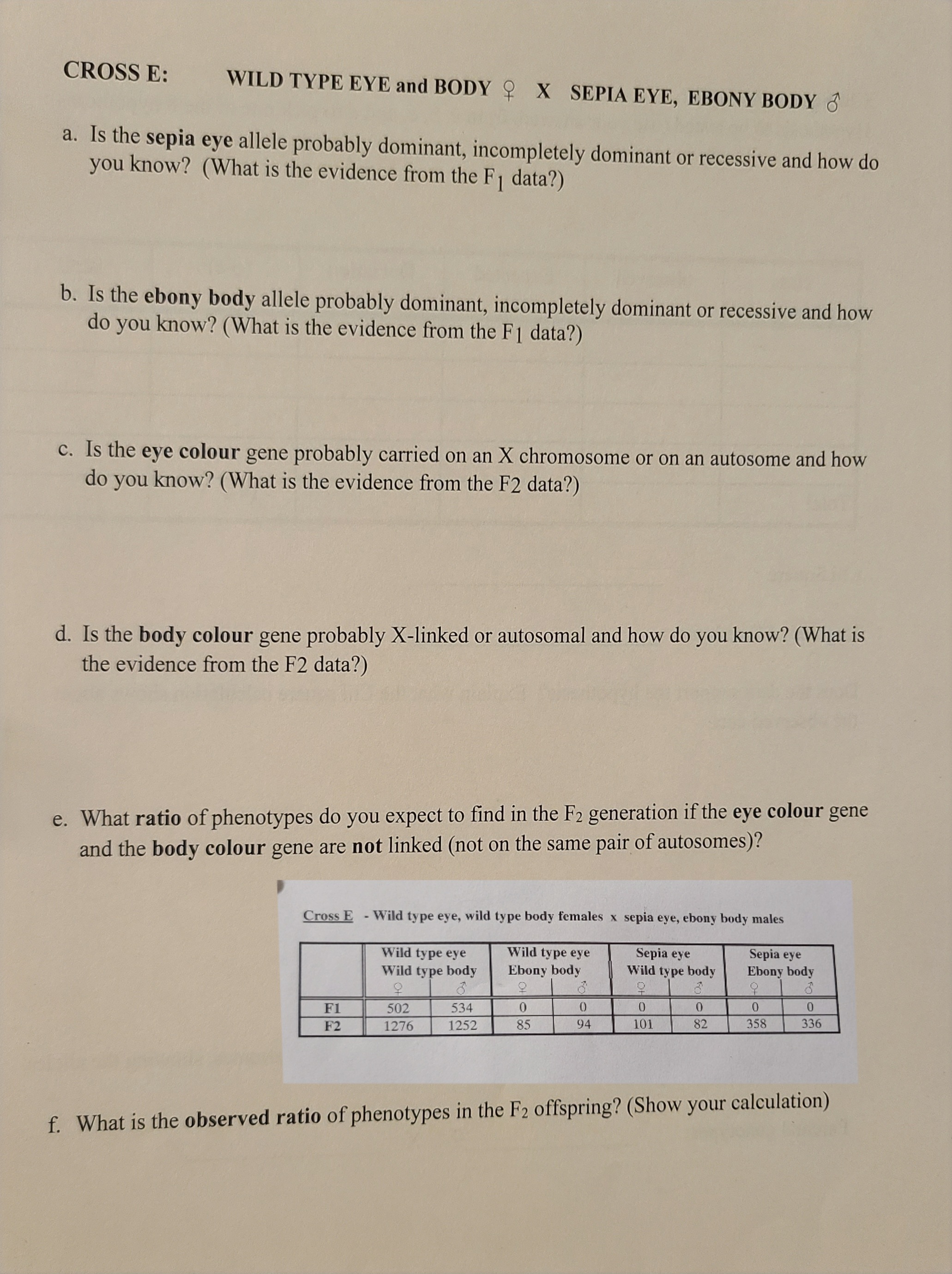 Solved CROSS E:WILD TYPE EYE and BODY uarr,x ﻿SEPIA EYE, | Chegg.com