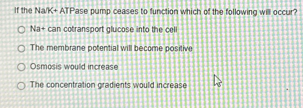 Solved If the NaK+ ﻿ATPase pump ceases to function which of | Chegg.com
