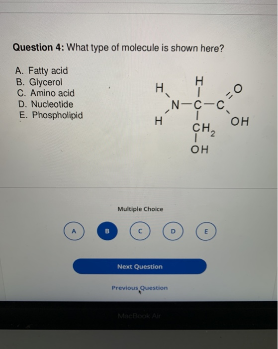 Solved Question 4: What type of molecule is shown here? H I | Chegg.com