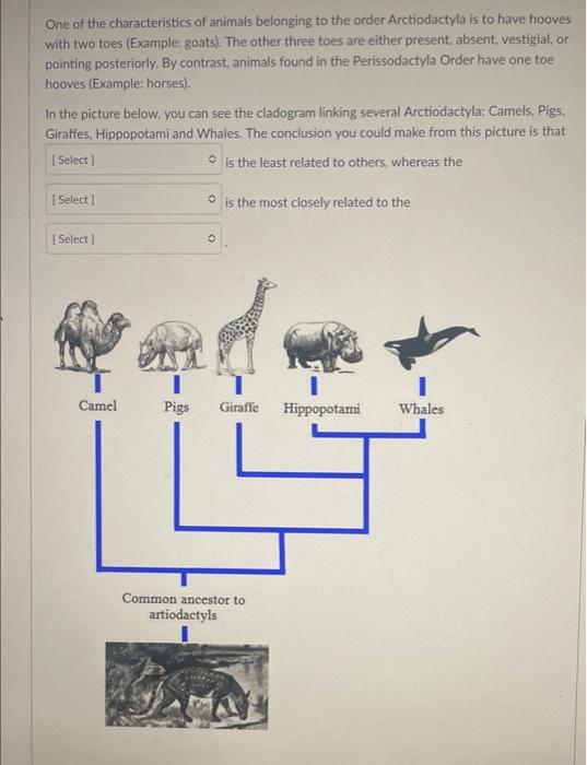 Solved One of the characteristics of animals belonging to | Chegg.com