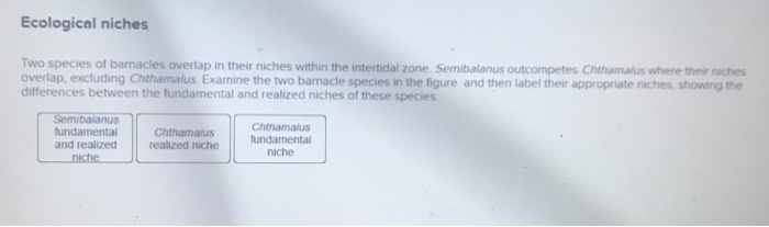 Solved Ecological niches Two species of barnacles overlap in | Chegg.com