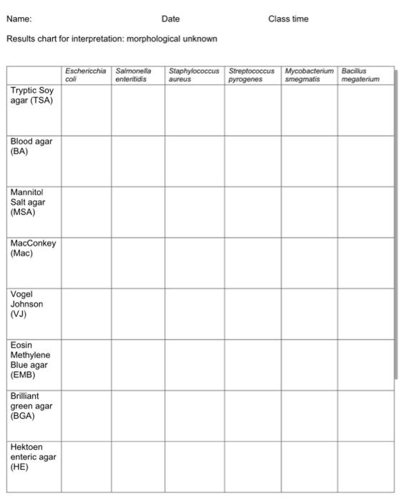 Solved Results chart for interpretation: morphological | Chegg.com