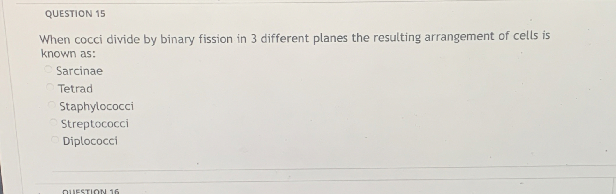 Solved QUESTION 15When cocci divide by binary fission in 3 | Chegg.com