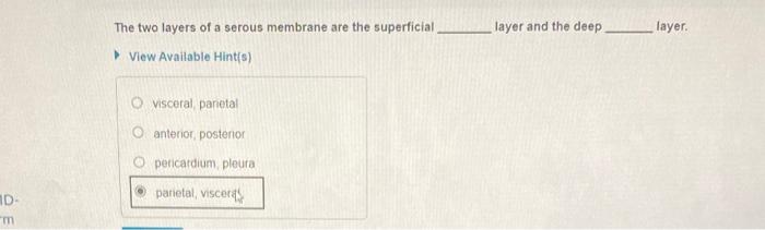 Solved layer and the deep layer. The two layers of a serous | Chegg.com