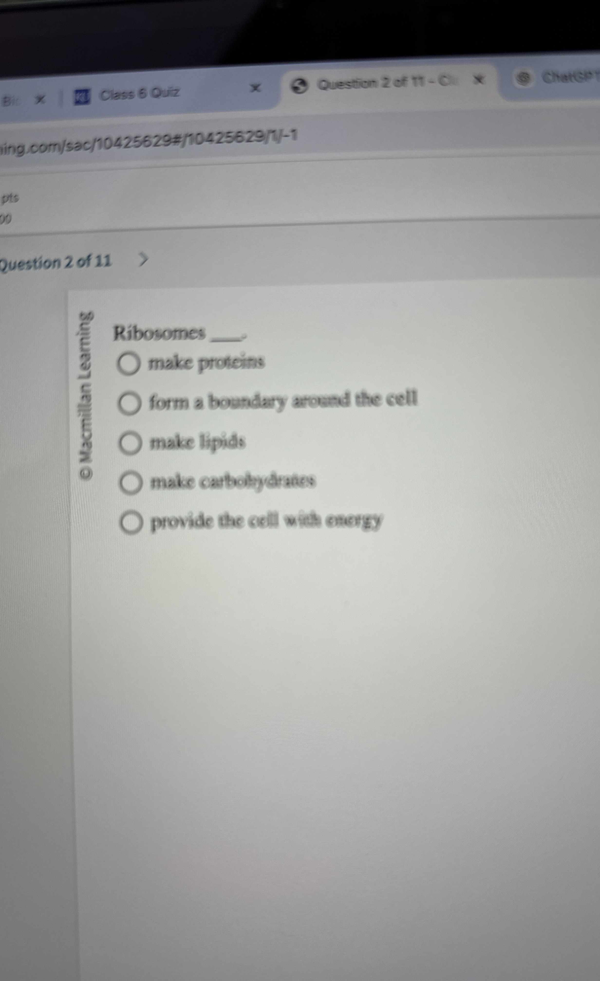 Solved Ribosomesmake proteinsform a boundary around the | Chegg.com