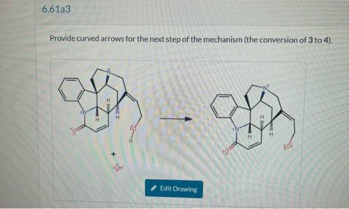 Solved Strychinine (6), a notorious poison isolated from the | Chegg.com
