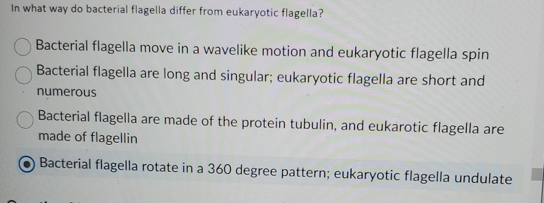 Solved In what way do bacterial flagella differ from | Chegg.com
