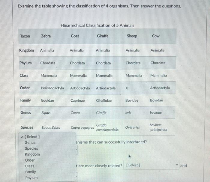 Solved Examine the table showing the classification of 4 | Chegg.com