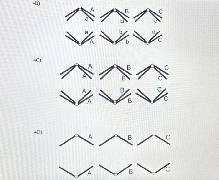 Solved 4. (20 pts) The pictures below show cells during | Chegg.com