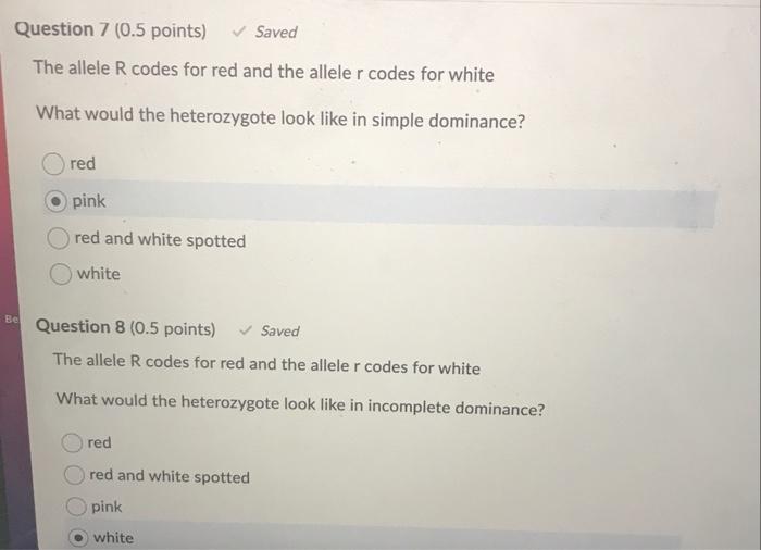 Solved The allele R codes for red and the allele r codes for | Chegg.com