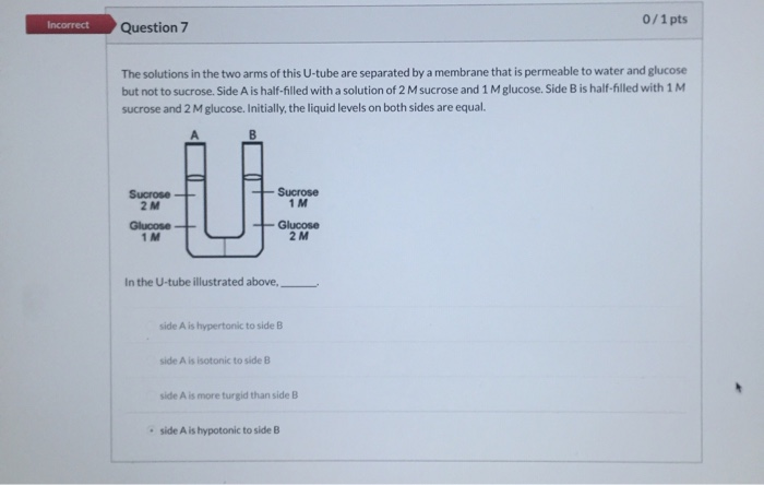 Solved 0/1pts Question 7 Incorrect The solutions in the two | Chegg.com