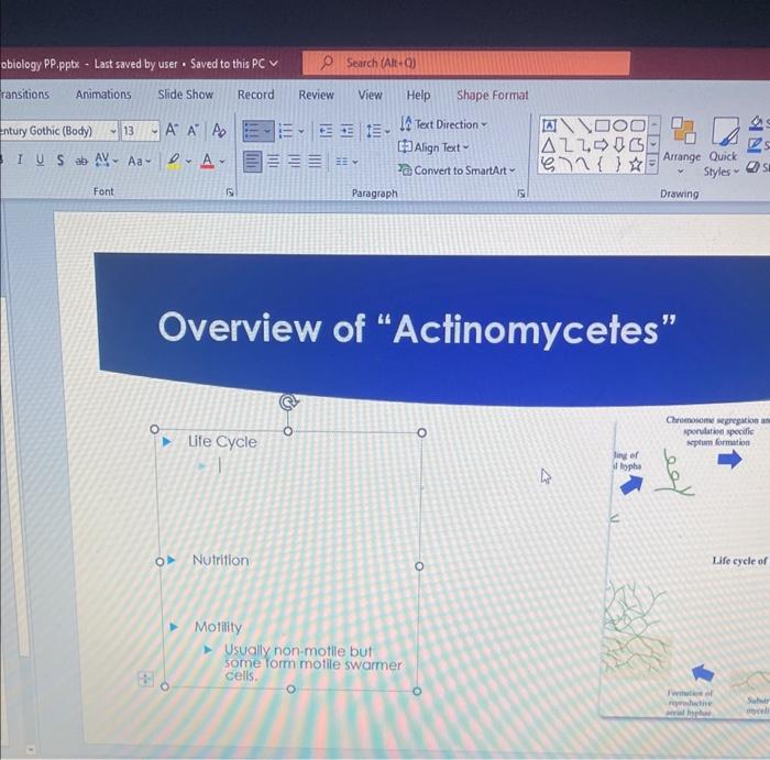 Solved ransitions Animations entury Gothic (Body) * Verview | Chegg.com