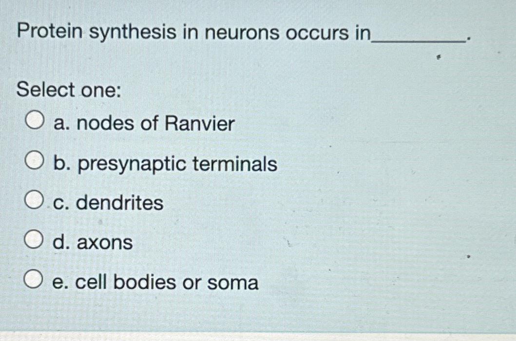 Solved Protein synthesis in neurons occurs inSelect one:a. | Chegg.com